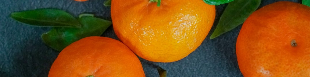 Mandarin Orange | LinkedIn Background
