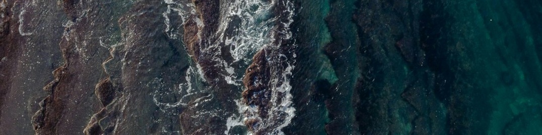 Ocean - LinkedIn Background - Get some inspiration!