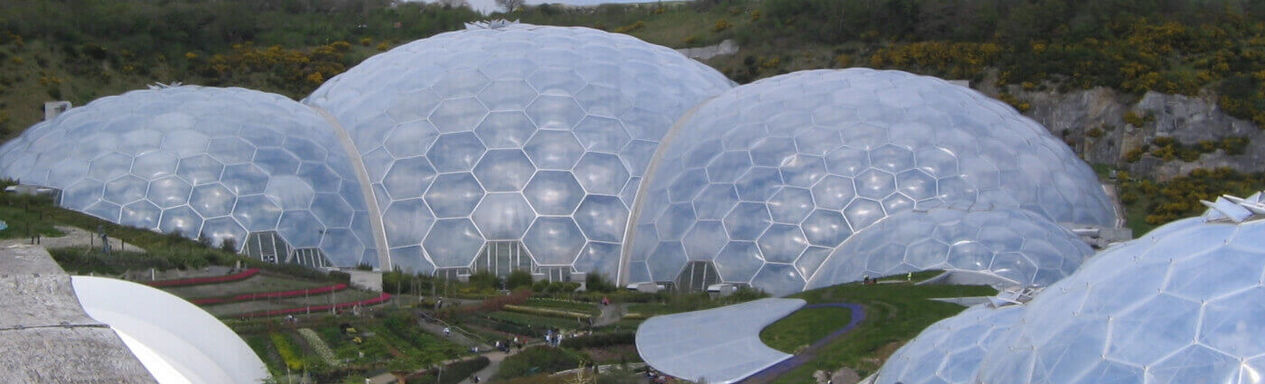 Eden Project - LinkedIn Background - Get some inspiration!