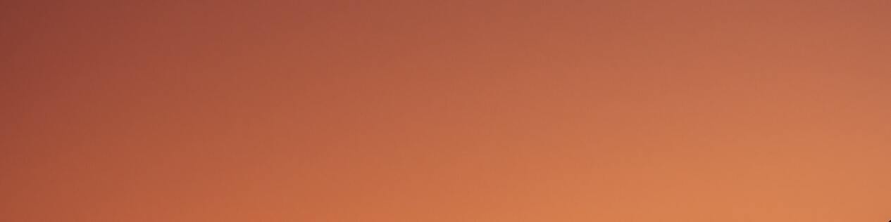 Mandarin Orange - LinkedIn Background - Get some inspiration!