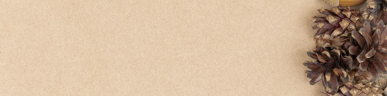 Pine Cones - LinkedIn Background - Get some inspiration!