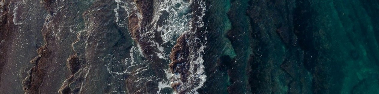 Ocean - LinkedIn Background - Get some inspiration!