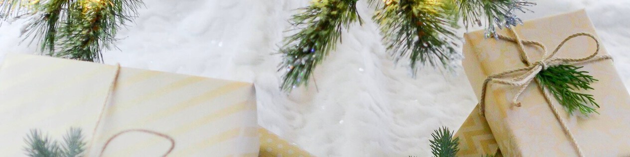 Santa - LinkedIn Background - Get some inspiration!