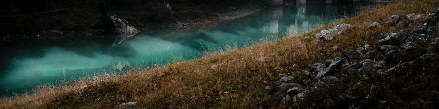 Beautiful Spring During Night Time - LinkedIn Background - Get some ...