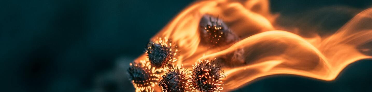 Do Not Play With Fire - LinkedIn Background - Get some inspiration!