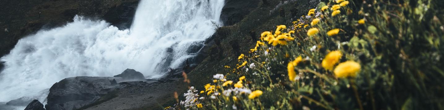 Flowers By The Waterfall - LinkedIn Background - Get some inspiration!