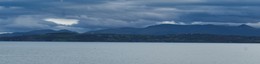 Distant | LinkedIn Background