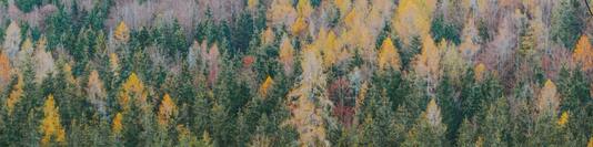 Nice Blend Of Architecture And Nature - LinkedIn Background - Get some ...