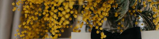 See Where The Light Takes Us - LinkedIn Background - Get some inspiration!