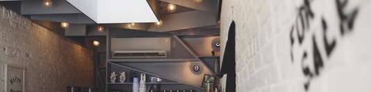 Leafless Trees - LinkedIn Background - Get some inspiration!