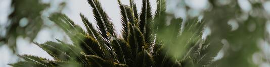 This Beach Looks So Beautiful - LinkedIn Background - Get some inspiration!