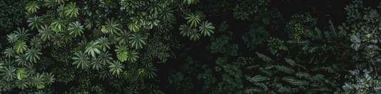 The Top Of A Snowy Mountain - LinkedIn Background - Get some inspiration!