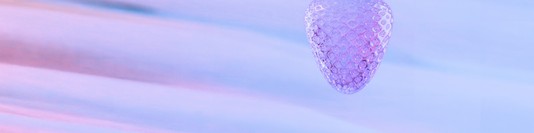 Leafless Trees - LinkedIn Background - Get some inspiration!