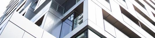 White Tree Under The Blue Sky - LinkedIn Background - Get some inspiration!