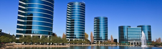 Texture Of Big Leaves - LinkedIn Background - Get some inspiration!