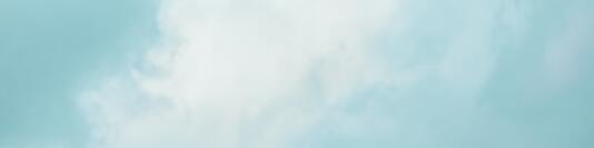 View Of Trees - LinkedIn Background - Get some inspiration!