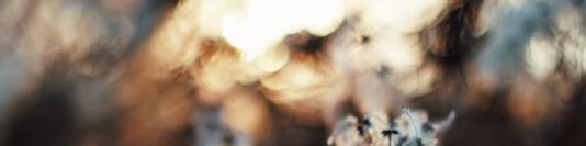 Ice Floating On The Sea - LinkedIn Background - Get some inspiration!