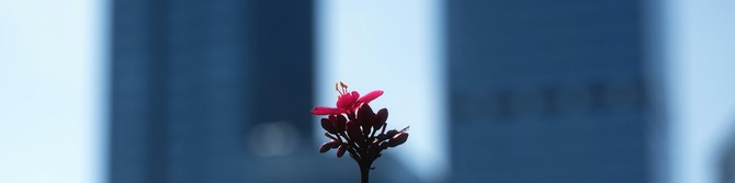 Buildings | LinkedIn Background
