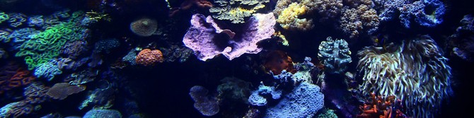 Water - LinkedIn Background - Get some inspiration!