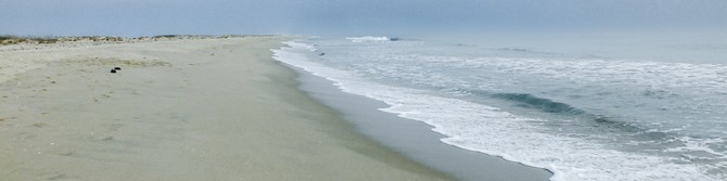 Beach - LinkedIn Background - Get some inspiration!