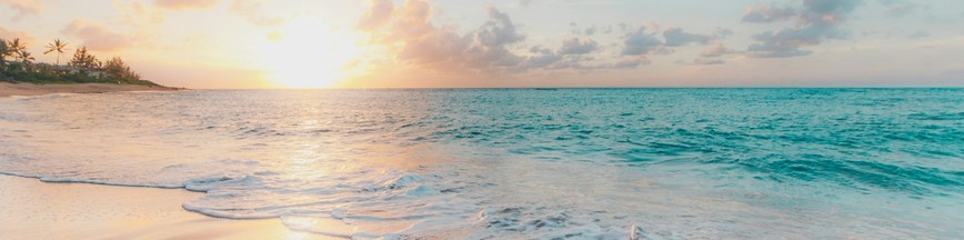 Sea Shore | LinkedIn Background
