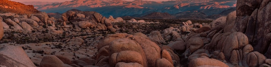 joshua tree desert rock landscape - LinkedIn Background - Get some ...